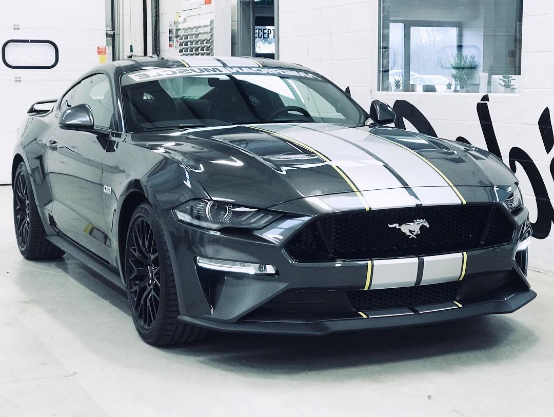Ford Mustang - Bespoke Viper Stripes - Personal Wrapping Project